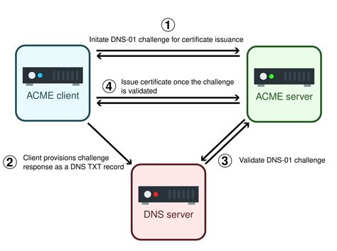 Let39s Encrypt Certificate With Dns Verification With Noip