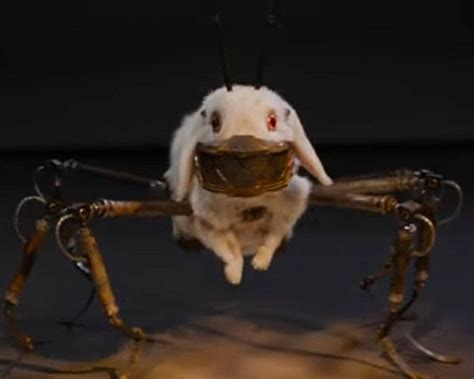 Floor Guardians Of The Galaxy Vol 3 Gotg 3 Framestore