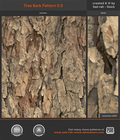 Tree Bark Pattern 5 0 By Sed Rah Stock On DeviantArt