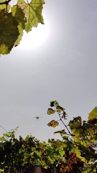 Flylab Solutions Private Limited On Linkedin