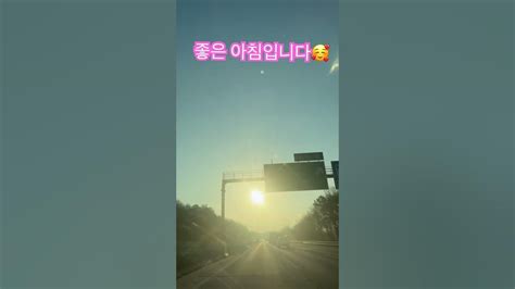 오늘도 일찍 출발했습니다어제 저녁 눈이 와서 가는 길도 참 예쁘네요 오늘도 즐거운 주말 되세요김자매다육 다육화분 다육식물 오늘감사함 토요일 Youtube