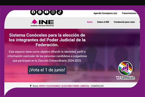 Pese A Promesas La Plataforma ¡conóceles Del Ine Sigue Siendo