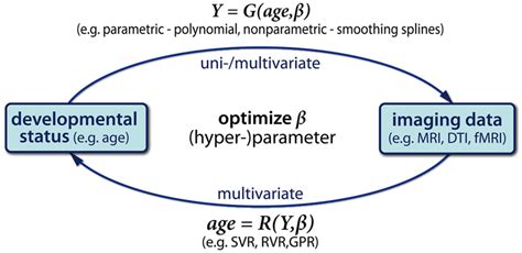 Schematic Illustration Of Generative And Recognition Models Of Age A