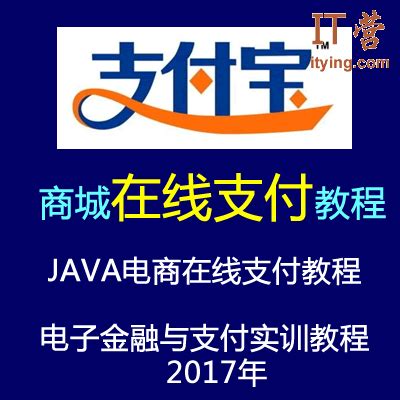 JAVA电商在线支付视频教程电子金融与支付实训教程 IT营