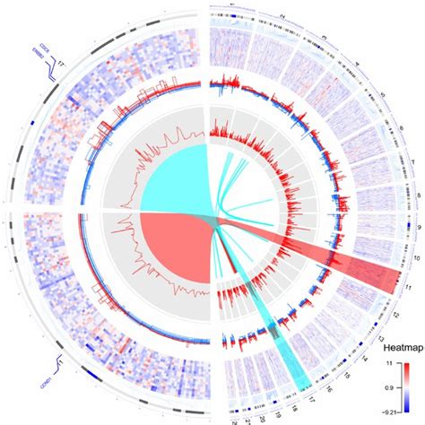 Figure S Circular Plot Generated By RCircos Using The Same Data Set Download Scientific