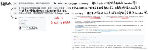 21 Ubuntu的基本操作ubuntu虚拟机 Csdn博客