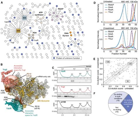 Ai Powered Structural Proteomics Unveils New Insights Into Protein
