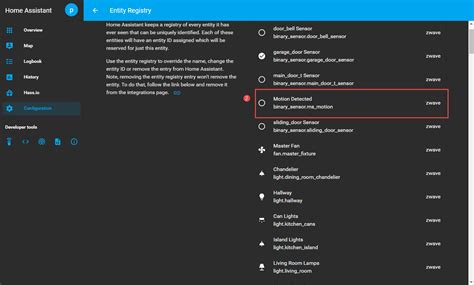 save failed entity is already registered configuration home