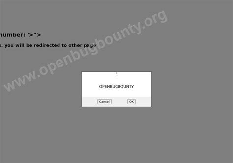 cross site scripting vulnerability obb 3921380