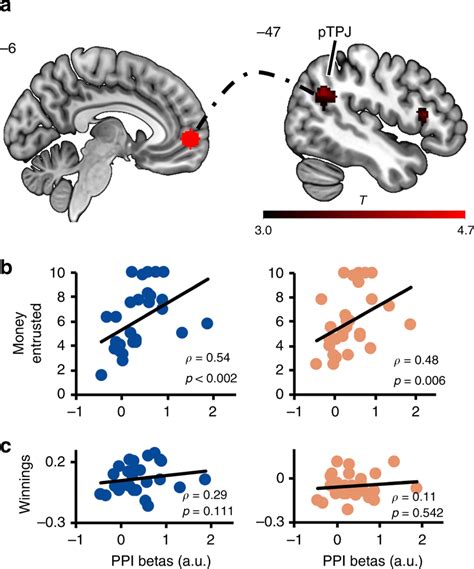 task based functional connectivity analysis task based functional