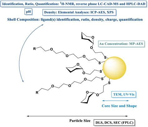 Critical Parameters Of The Gnp Core Size And Shape Particle Size And