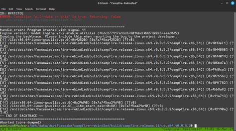 Ive Ran Into The Weirdest Crash With The Weirdest Solution Rgodot