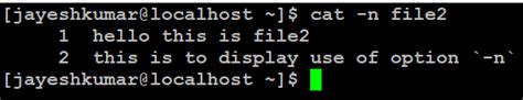How To View The Content Of File In Linux Cat Command Geeksforgeeks