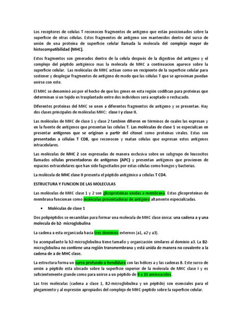 Estructura Y Función De Las Moléculas Del Complejo Mayor De Histocompatibilidad Mhc Clase I Y