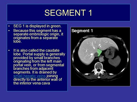 Liver Segmental Anatomy Ct Scan 185 Liver Segments Images Stock
