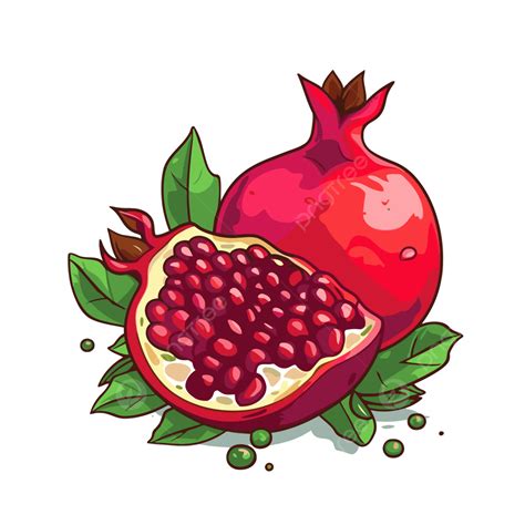흰색 배경에 두 석류의 석류 클립 아트 만화 디자인 벡터 석류 클립 아트 만화 Png 일러스트 및 벡터 에 대한 무료 다운로드 Pngtree