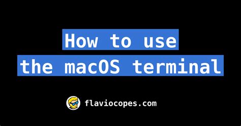 How To Use The MacOS Terminal