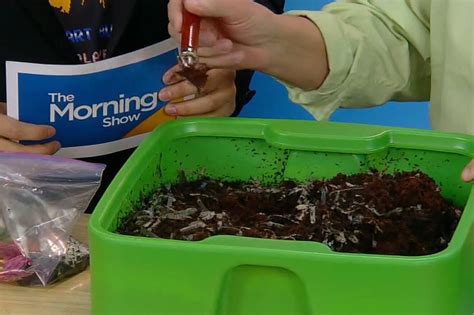 The Benefits Of Indoor Composting Landscape Ontario