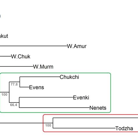 Phylogenetic Tree Constructed By The Neighbour Joining Algorithm