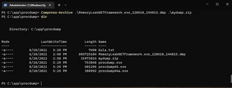 Getting Memory Dump of NET Applications Windows Linux Containers on Kubernetes Gökhan Gökalp