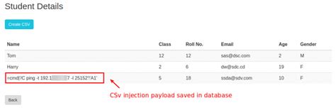 CSV Injection A Guide To Protecting CSV Files