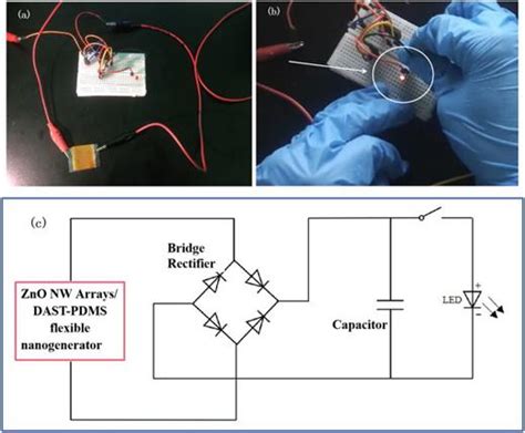 Piezoelectric Properties Of Zno Nanowire Arraysdast Pdms Flexible