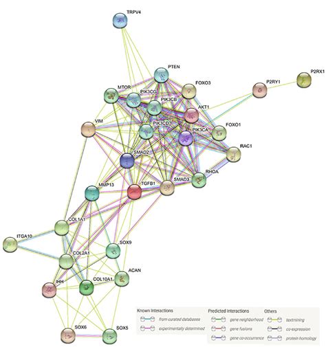 String Database Analysis At Christopher Larochelle Blog