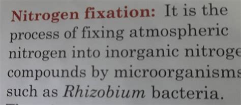 Nitrogen Fixation It Is The Process Of Fixing Atmospheric Nitrogen Into