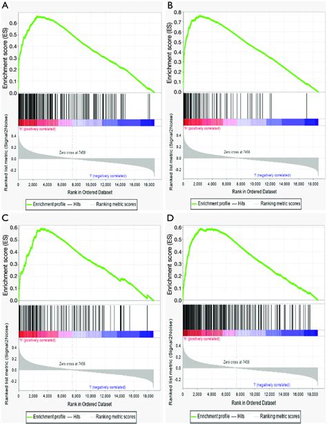 Enrichment Plots From Gsea Gsea Results Showing The Focal Adhesion