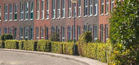 Microsoft Dynamics 365 Test Automation For One Of The Uks Leading Housing Associations