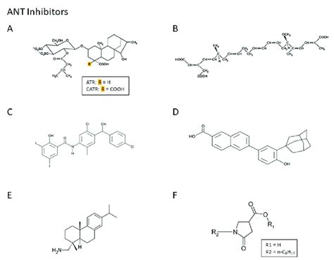 Scheme 1 Adenine Nucleotide Translocase Ant Inhibitors Download