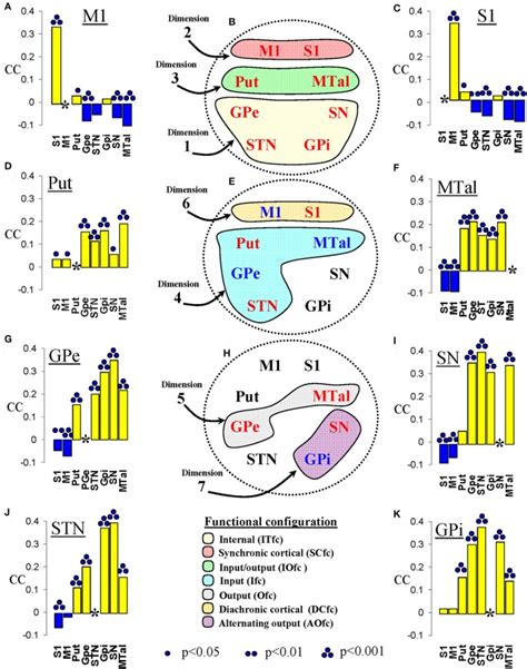 The Multiple Correspondence Analysis Method And Brain Functional Connectivity Its Application