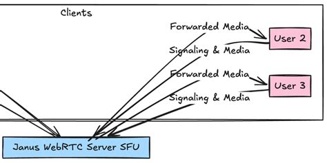 Janus Webrtc Server And Sfu A Real Time Video Calling App Dev Community