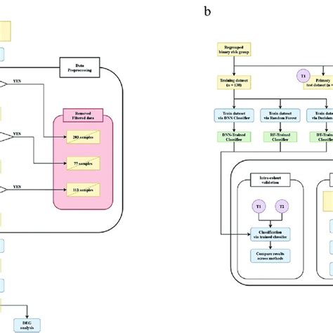 A Pipeline Flowchart Depicting The Data Preprocessing Step B