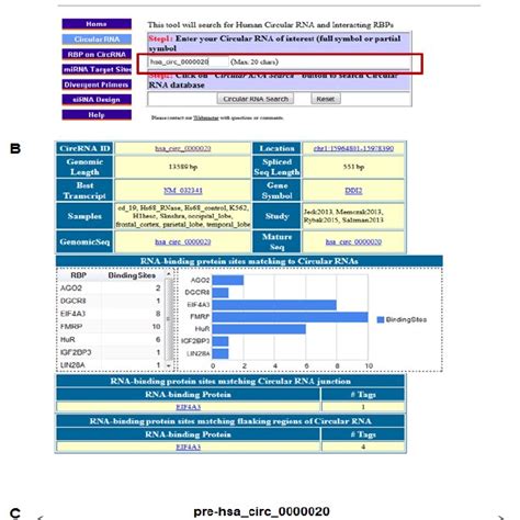 Workflow Of The Web Tool Circular Rna Interactome Or ‘ Circinteractome Download Scientific