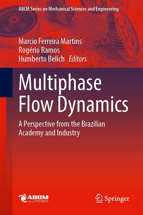 Buy Multiphase Flow Dynamics A Perspective From The Brazilian Academy And Industry ABCM Series