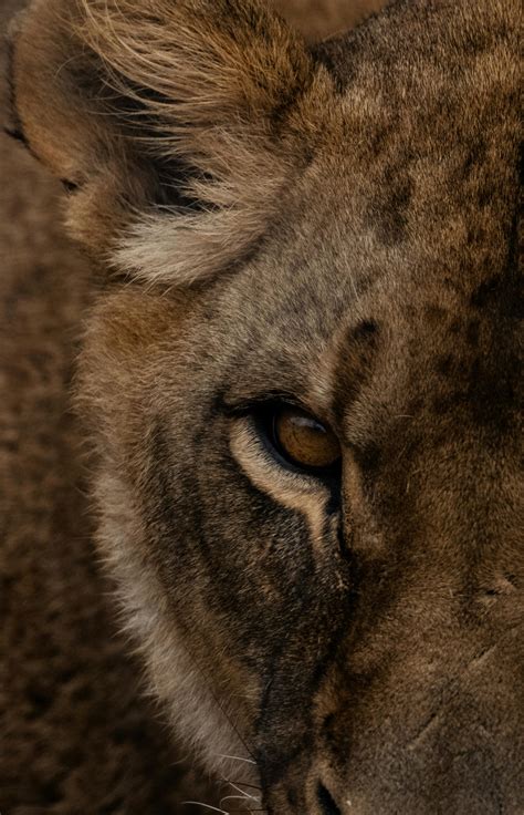 Cute Anime Desktop Wallpaper Photos Download The Best Free Cute Anime