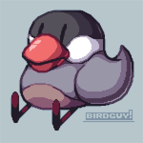 Java Finch By Rustbucket0 On Newgrounds Java Finch By Rustbucket0 On Newgrounds