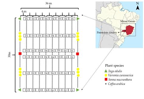 Map Showing The Spatial Arrangement Of The Sampling Plot Diversified