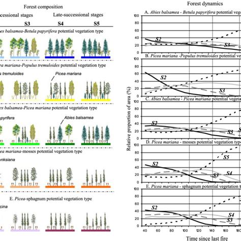 Forest Composition And Forest Dynamics Defined By Five Potential