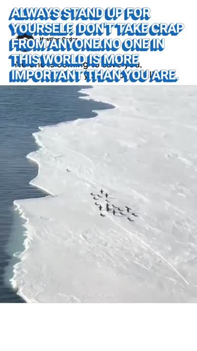 Snehal Lande Mankar Posted On Linkedin