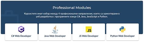 Програмиране или Qa Какви са основните разлики