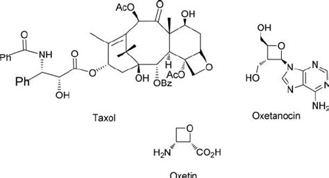 Oxetanes In Naturally Occurring Bioactive Molecules Download