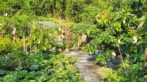 買屋─台中市后里區牛稠坑 有水有電休閒農地 大家房屋房屋網