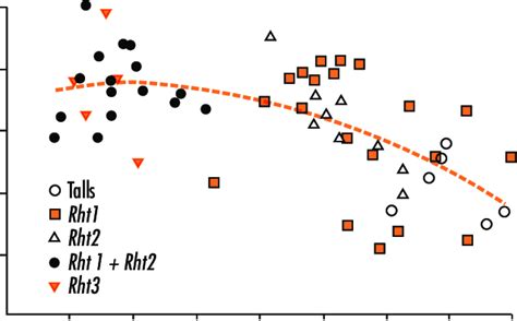 Relationship Between Grain Yield And Mature Plant Height Source Download Scientific Diagram