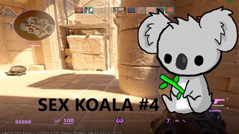 SEX KOALA YouTube