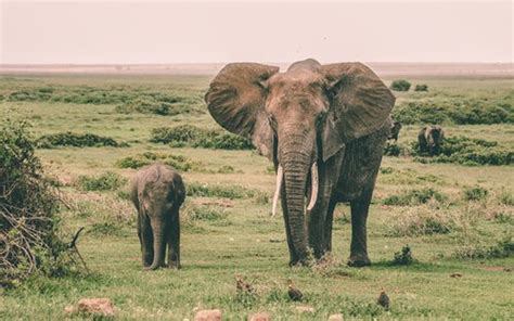 Oracle Vs Hadoop