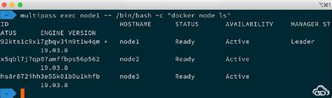 Clustering With Docker Swarm Creating And Managing A Swarm Easy Guide Cd Cloud Logix