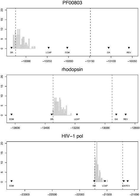 distribution of log likelihood scores for 100 multi rate models where