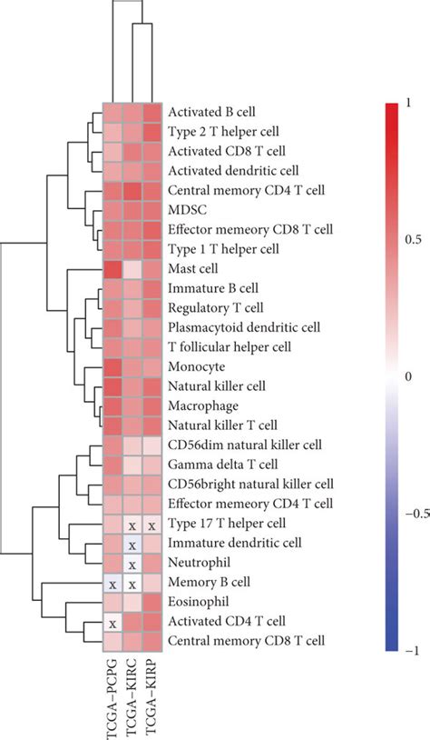 Correlation Between The CGAS STING Sensor And TIICs In KIRC KIRP And